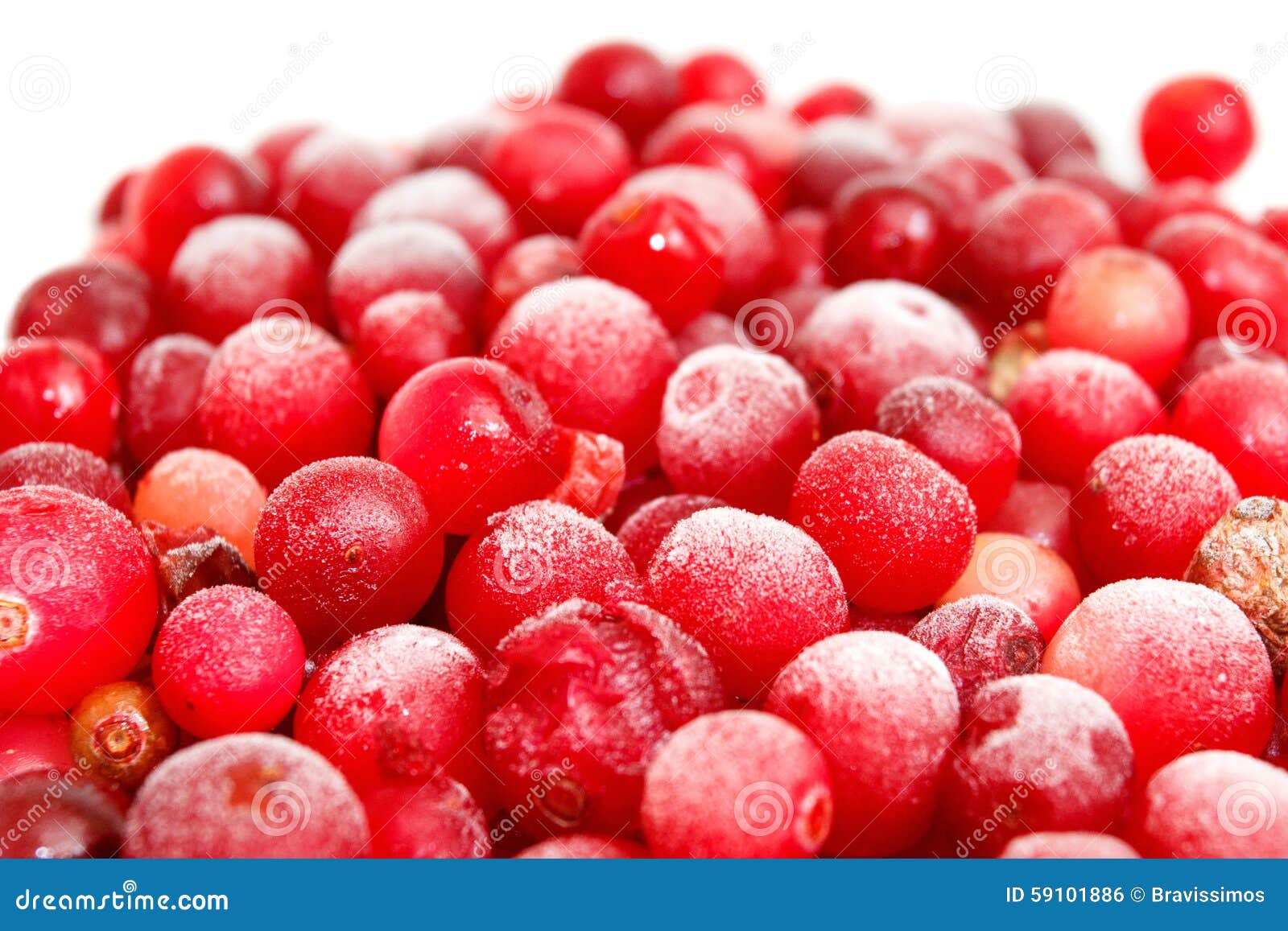 Macro Shot of a Frozen Red Currant Stock Photo - Image of color, juicy ...