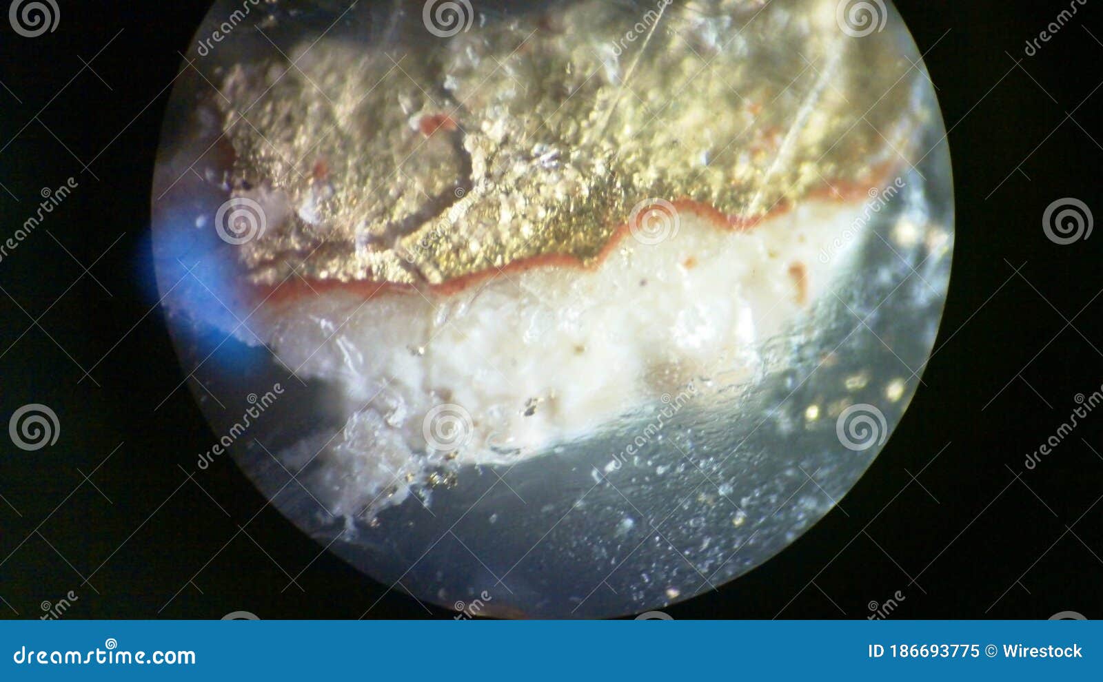 Macro Shot of Gold Under the Microscope Stock Image - Image of ...