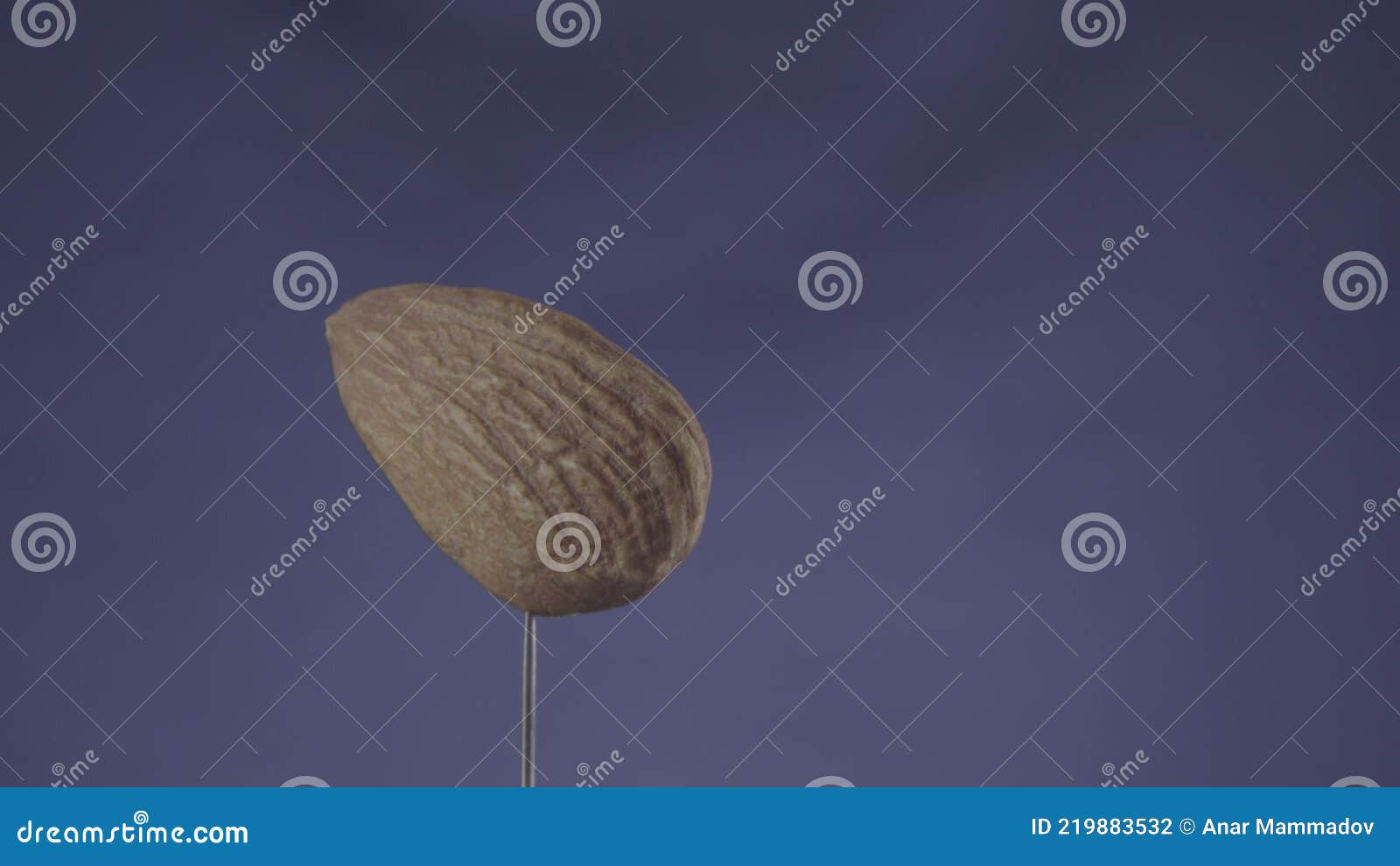 Almond Rotating with Loop on Blue Screen for Chroma Key Stock Footage ...