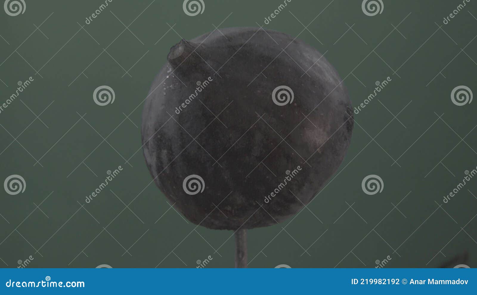 Fig Rotating with Loop on Green Screen for Chroma Key Stock Footage ...