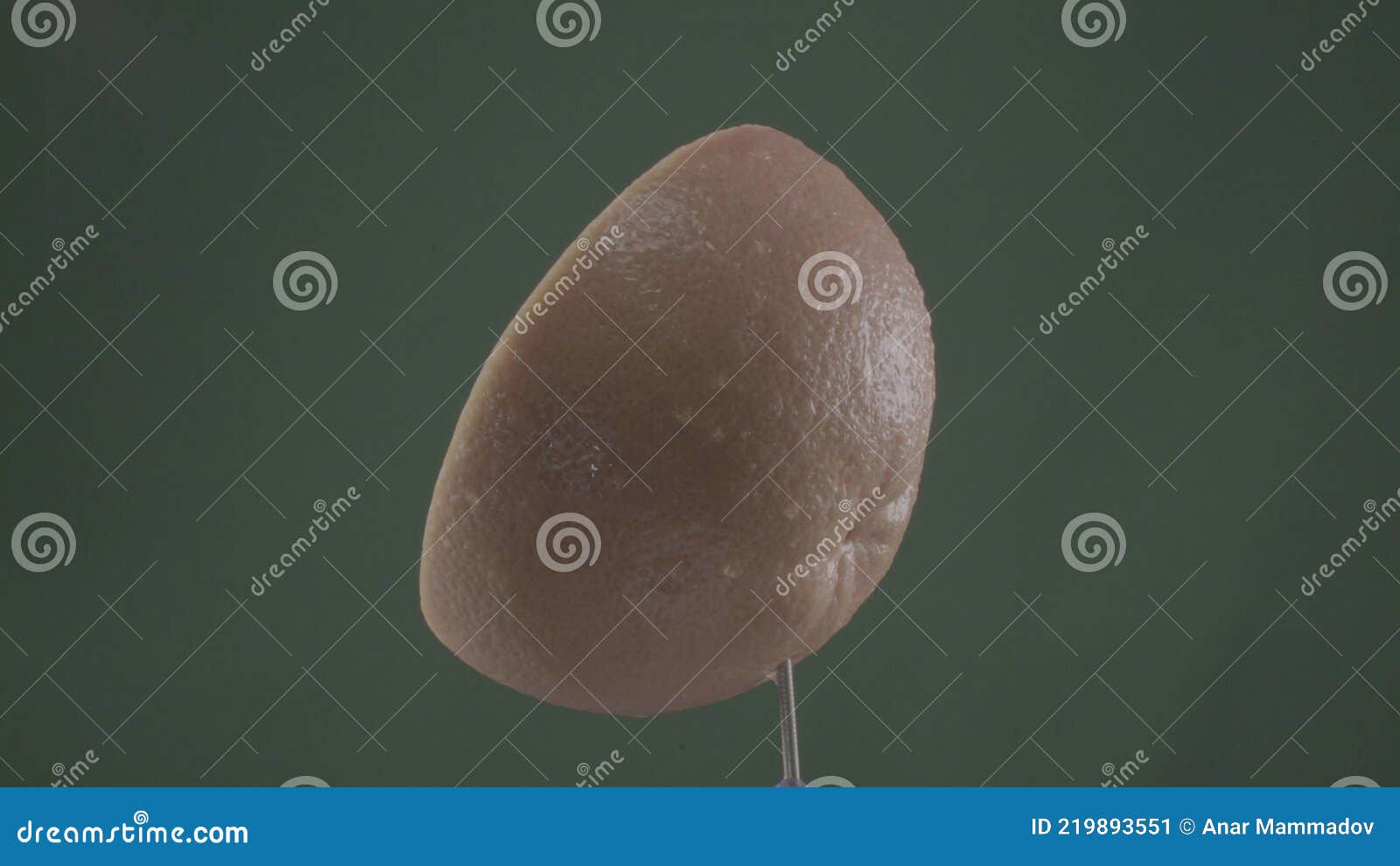 Grapefruit Rotating with Loop on Green Screen for Chroma Key Stock ...