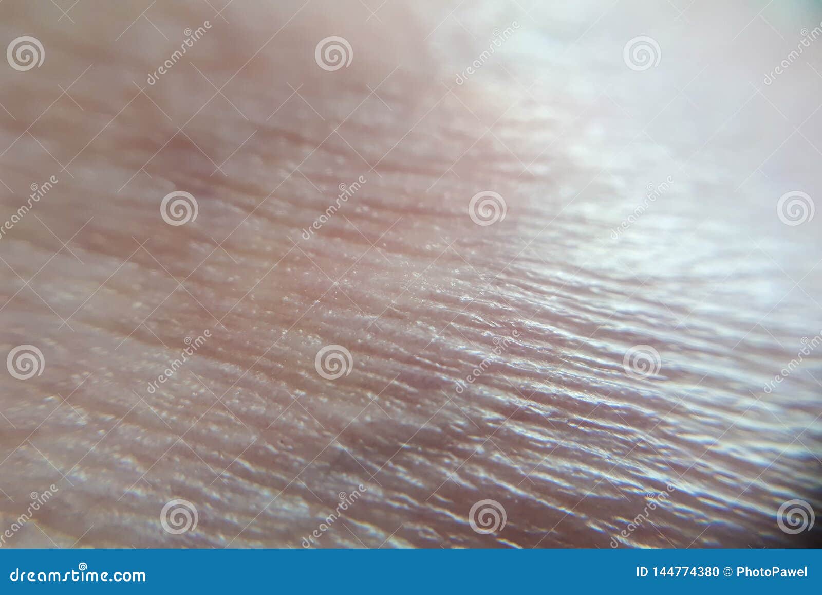 Shot of human skin leg stock photo. Image of people - 144774380