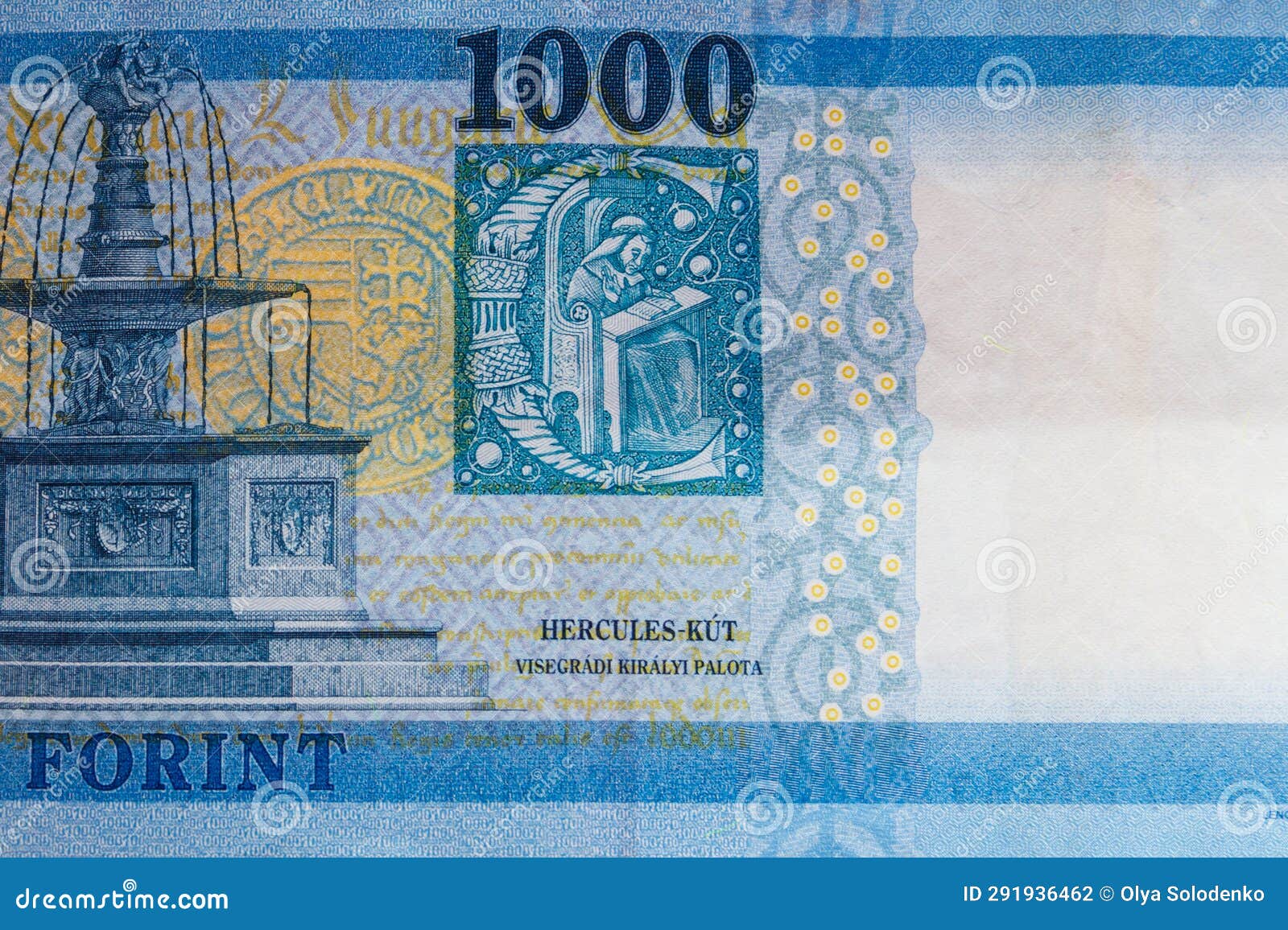 Macro Shot of 1000 Hungarian Forint Bill Stock Photo - Image of ...