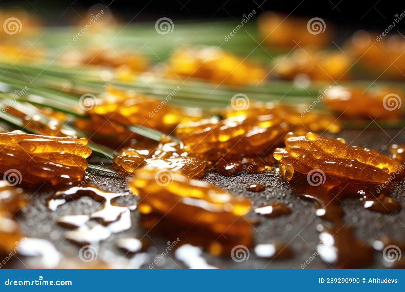 Macro Shot of Koji Mold on Sake Rice Grains Stock Photo - Image of ...