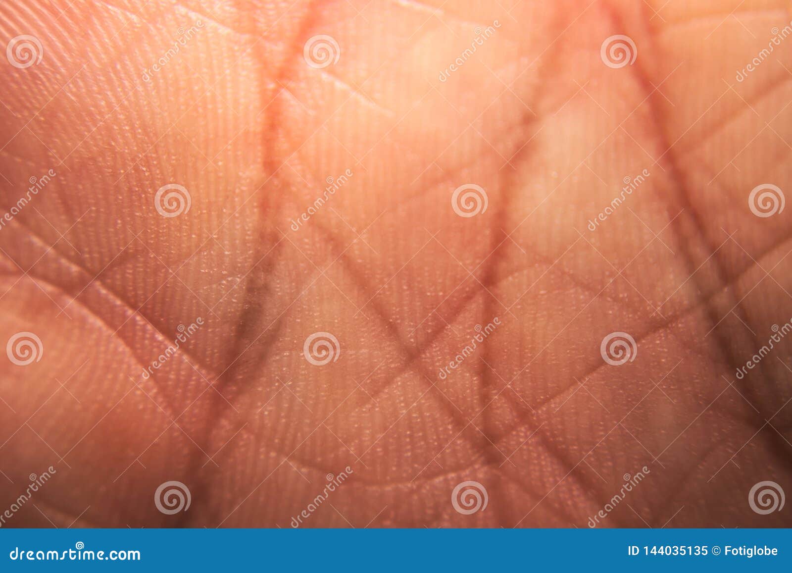 Human palm stock image. Image of female, lifestyle, collage - 144035135