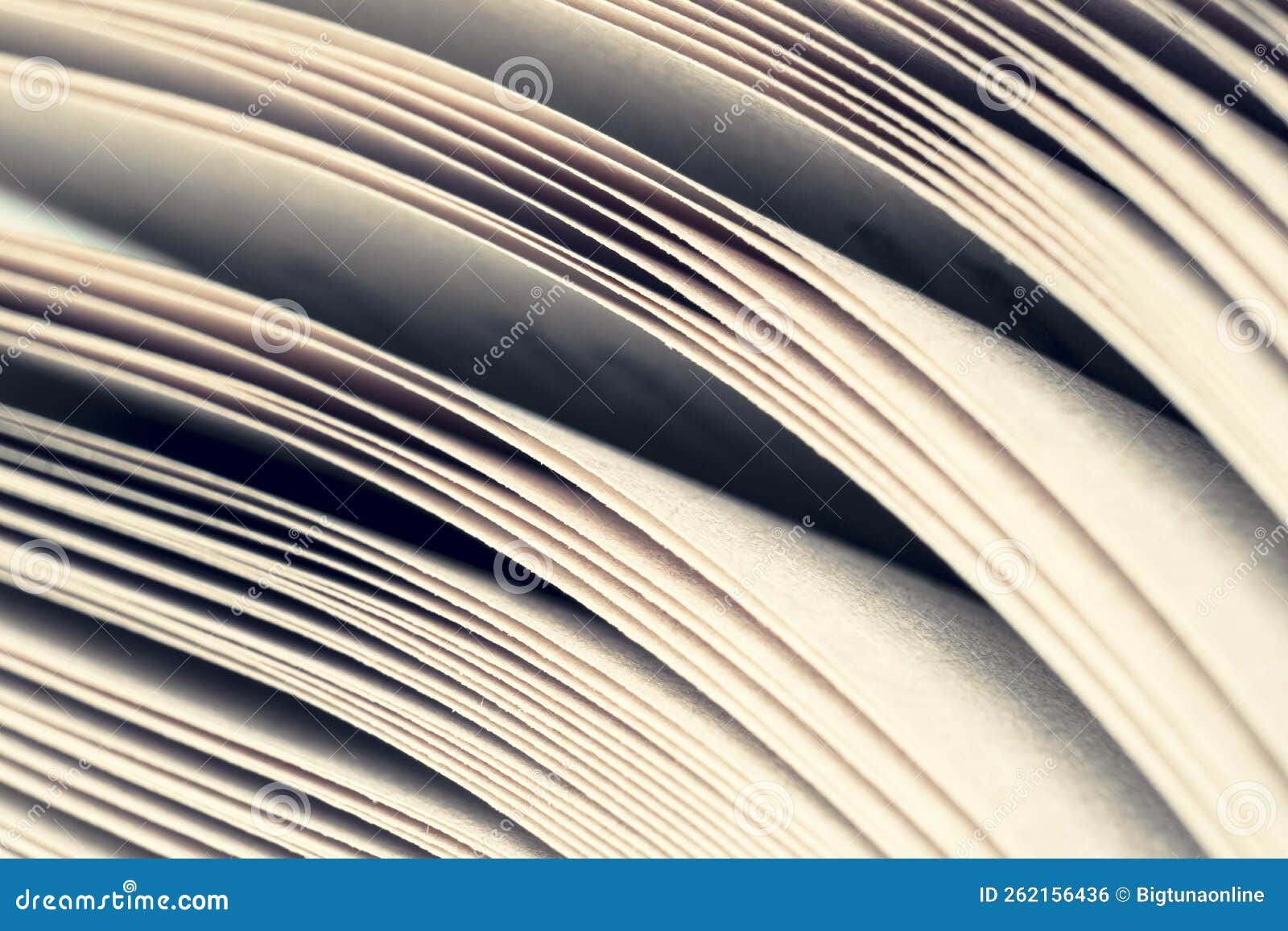 Macro Shot of Open Book. Education and Study Concept. Close-up of ...