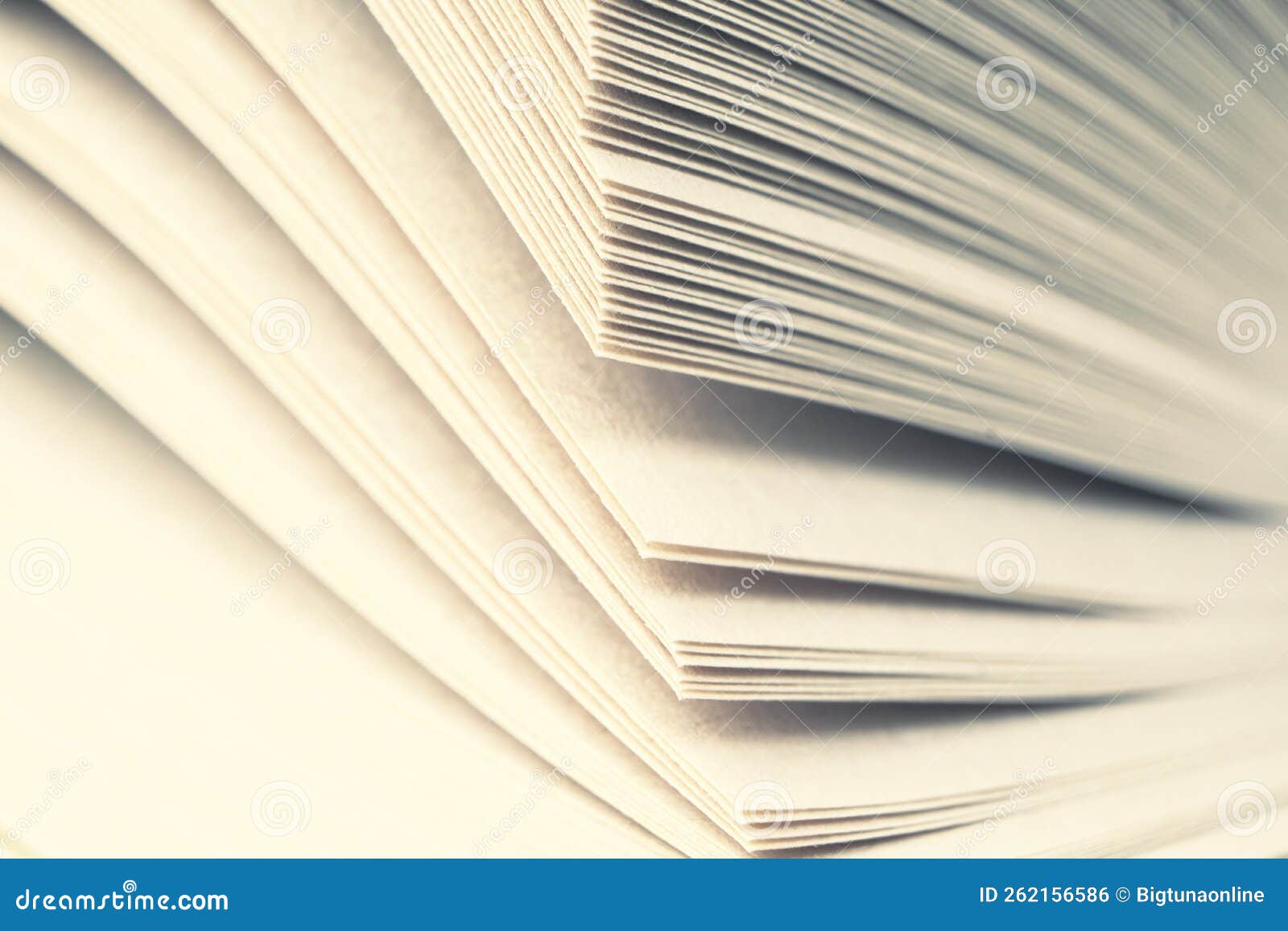 Macro Shot of Open Book. Education and Study Concept. Close-up of ...