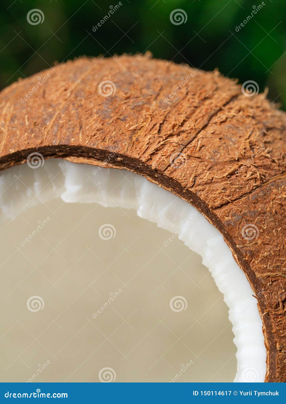 Macro Shot of Open Coconut, Coconut Texture Stock Image - Image of ...