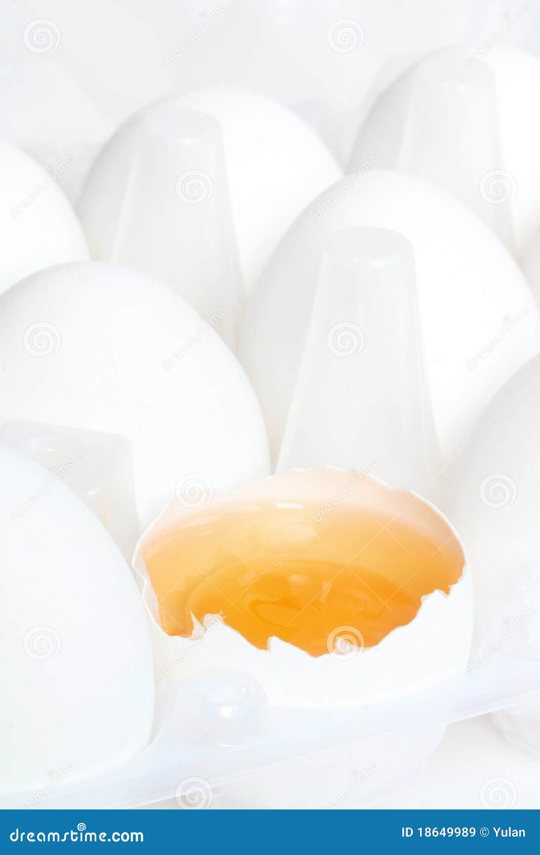 Macro shot of an open egg stock image. Image of halved - 18649989