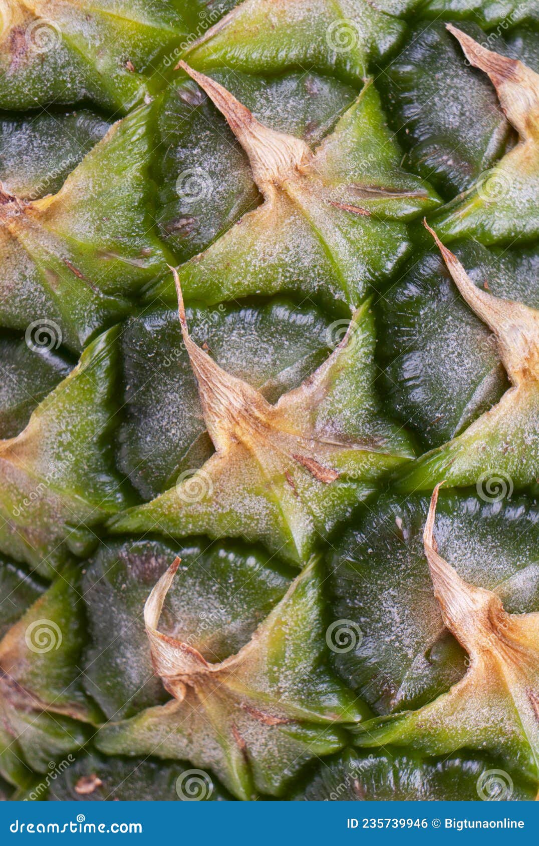 Macro Shot Pineapple Texture Background. Pineapple Skin Surface Close ...