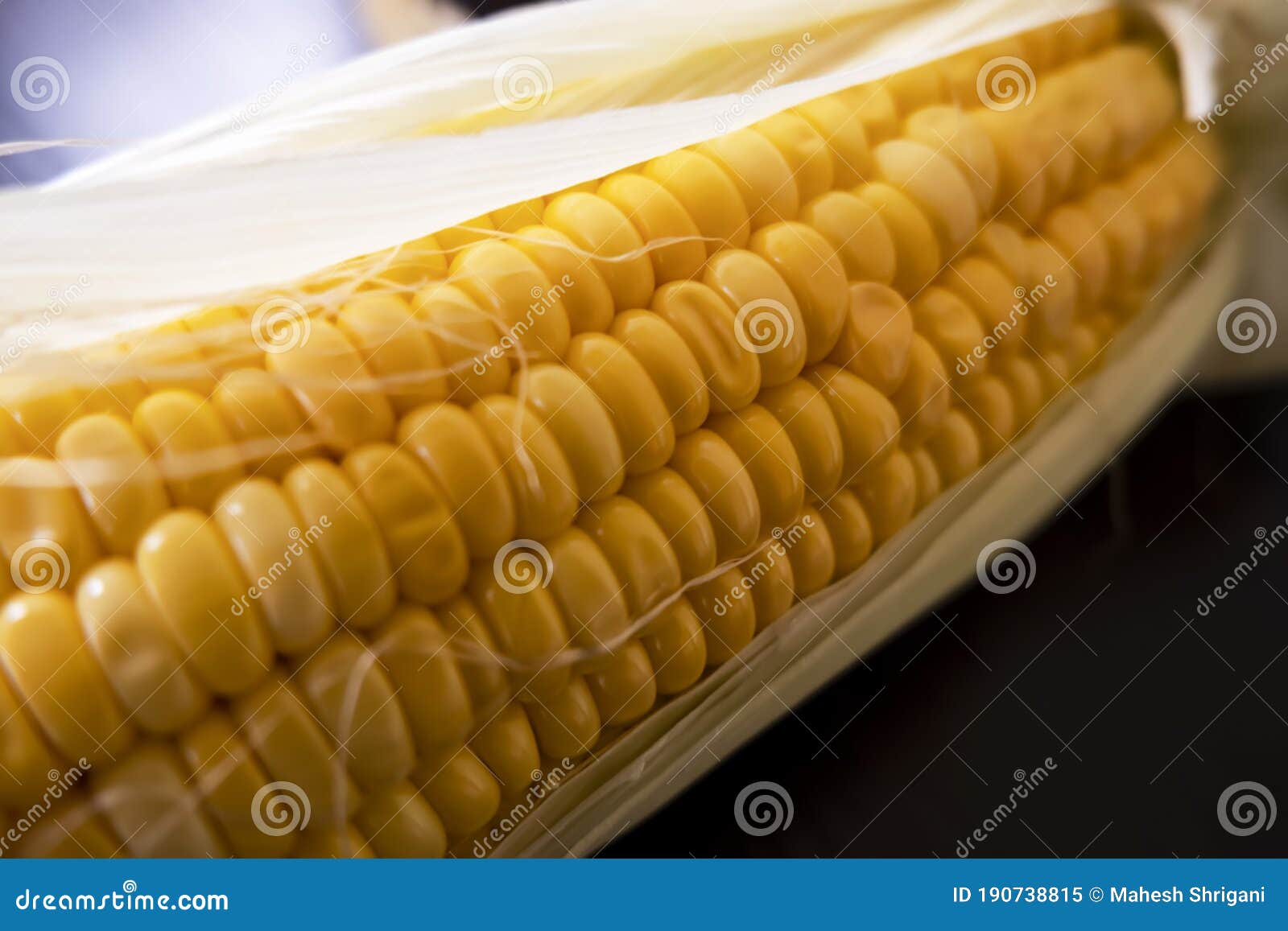 Macro Shot of Raw Maize Corns & Leaves Stock Image - Image of maize ...