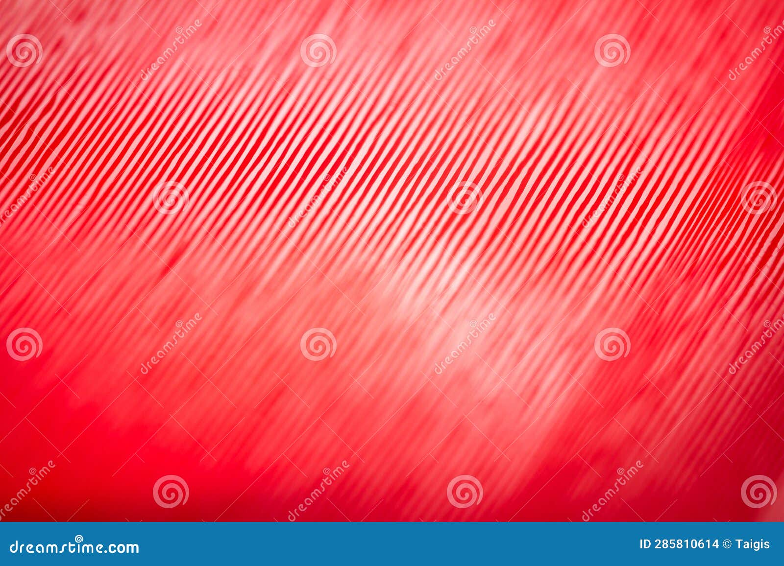 Macro Shot of Red Color Vinyl Record Stock Photo - Image of disc ...
