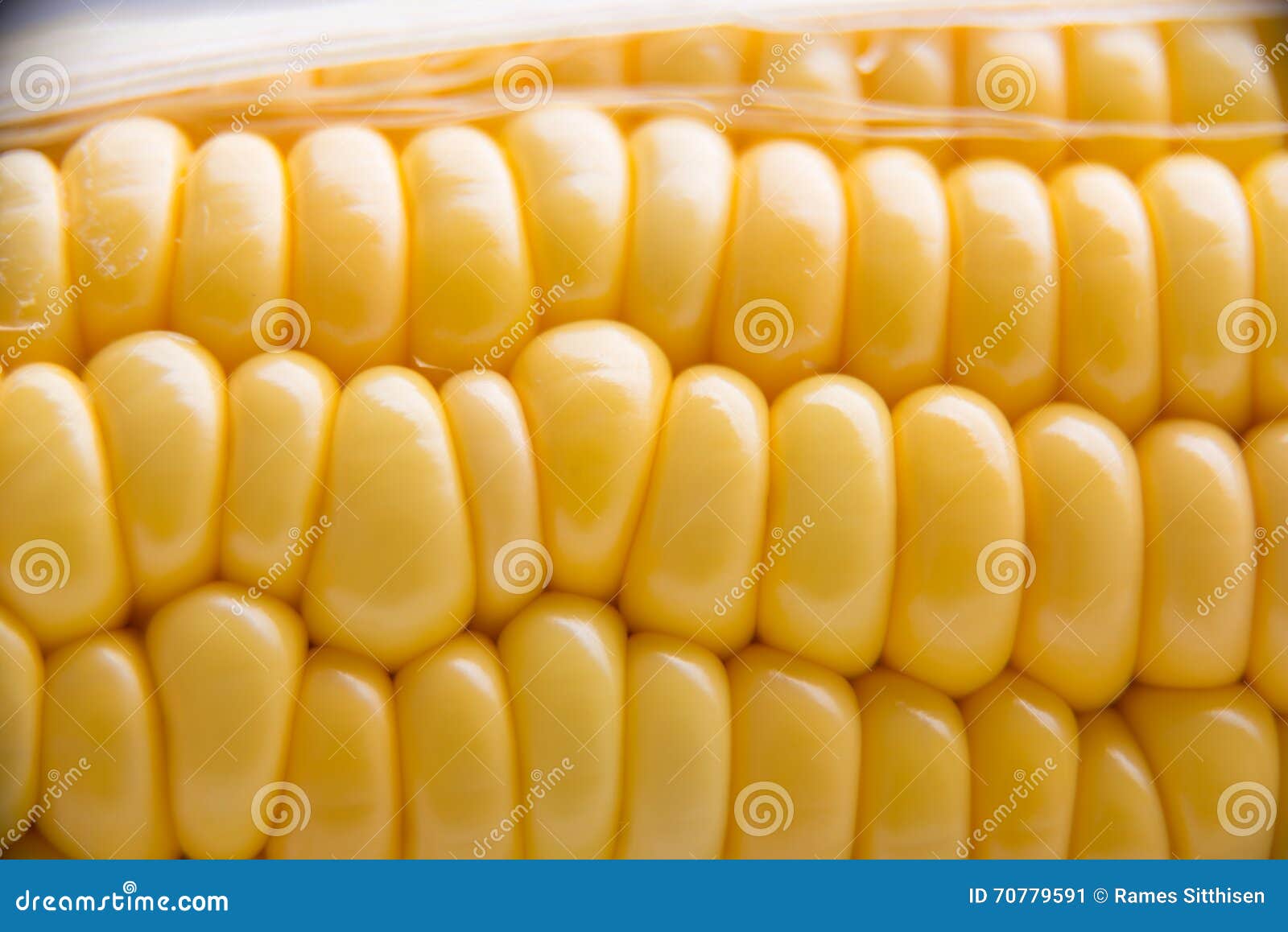 Macro Shot of Ripe Corn Grains Stock Image - Image of delicious, crop ...
