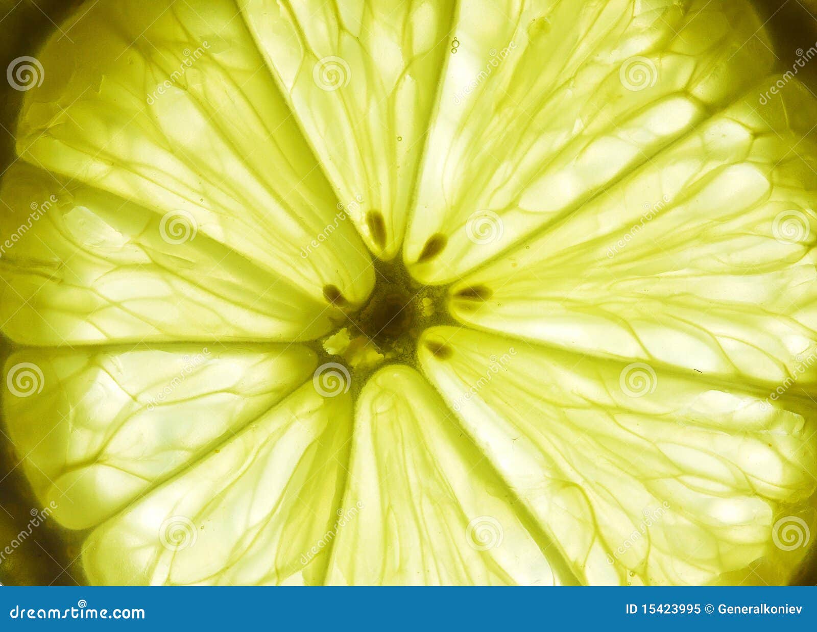 Macro shot of ripe lemon stock image. Image of abstract - 15423995