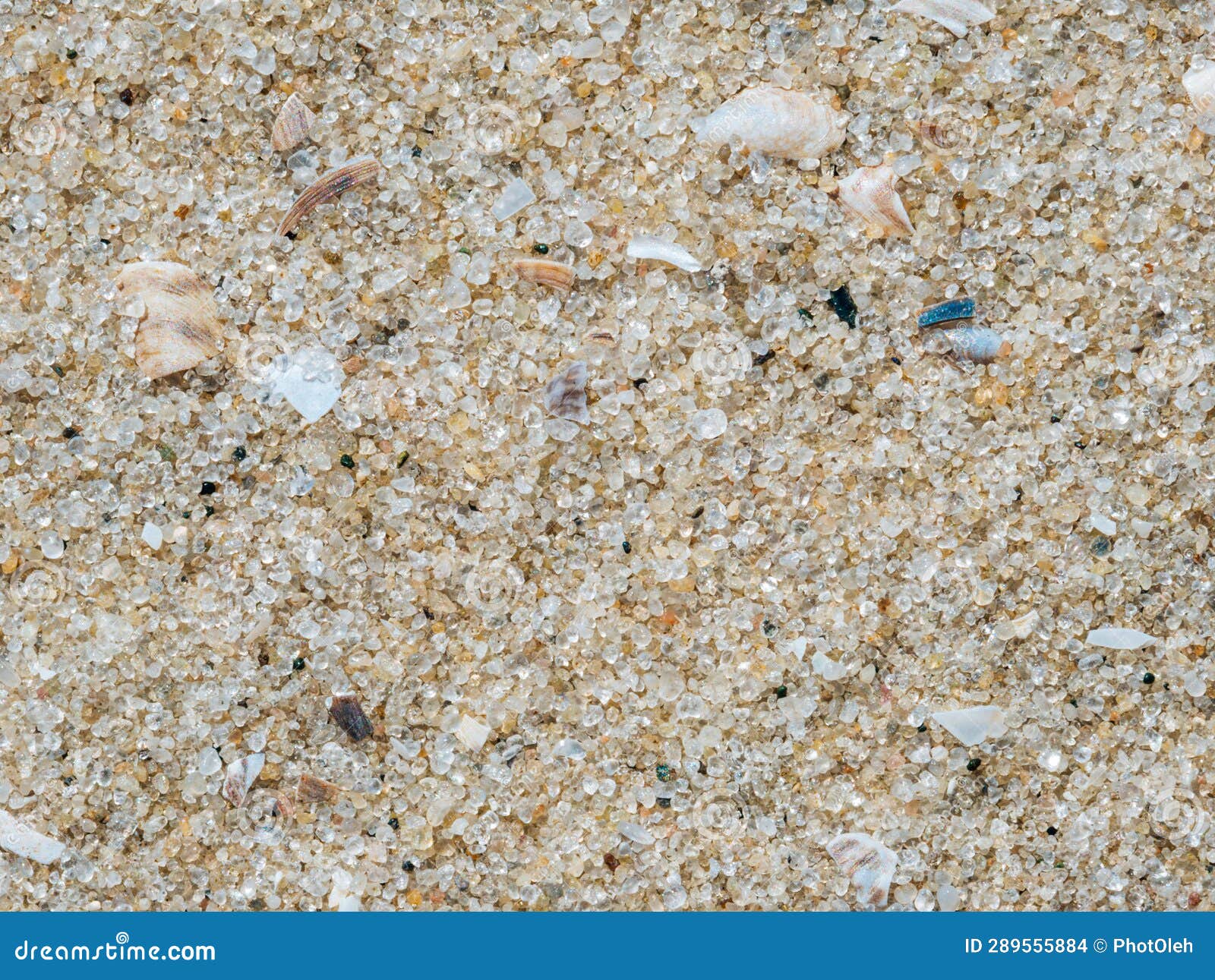 Macro Shot of River Sand with Fragments of Shells on the Beach Stock ...