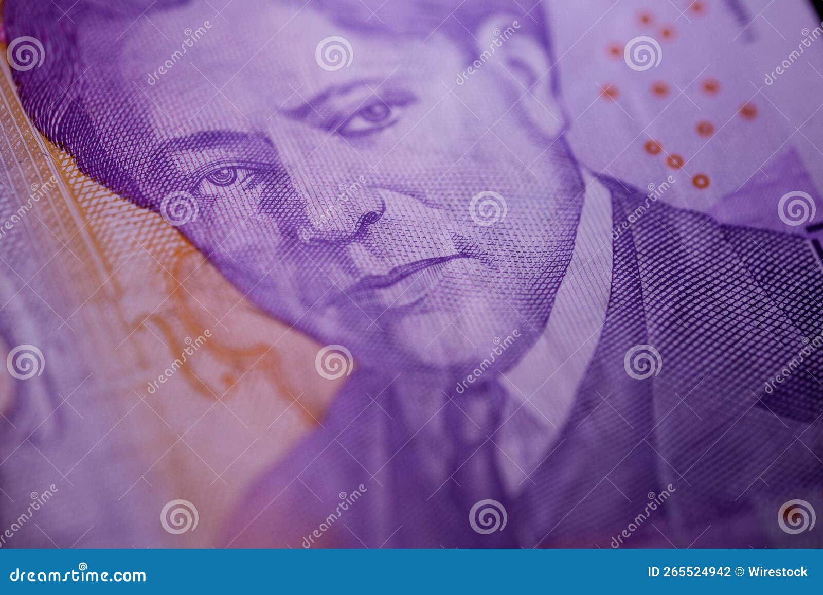 Macro Shot of a Romanian 5 RON Note Stock Photo - Image of pianist ...
