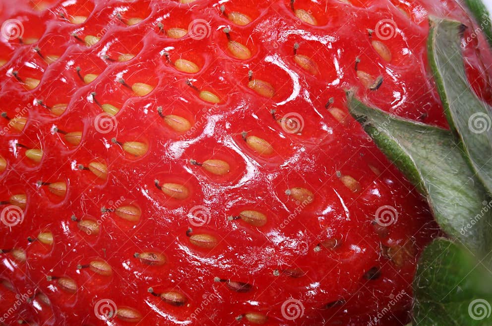 Macro Shot of Strawberry, Extreme Macro of Strawberry Texture ...