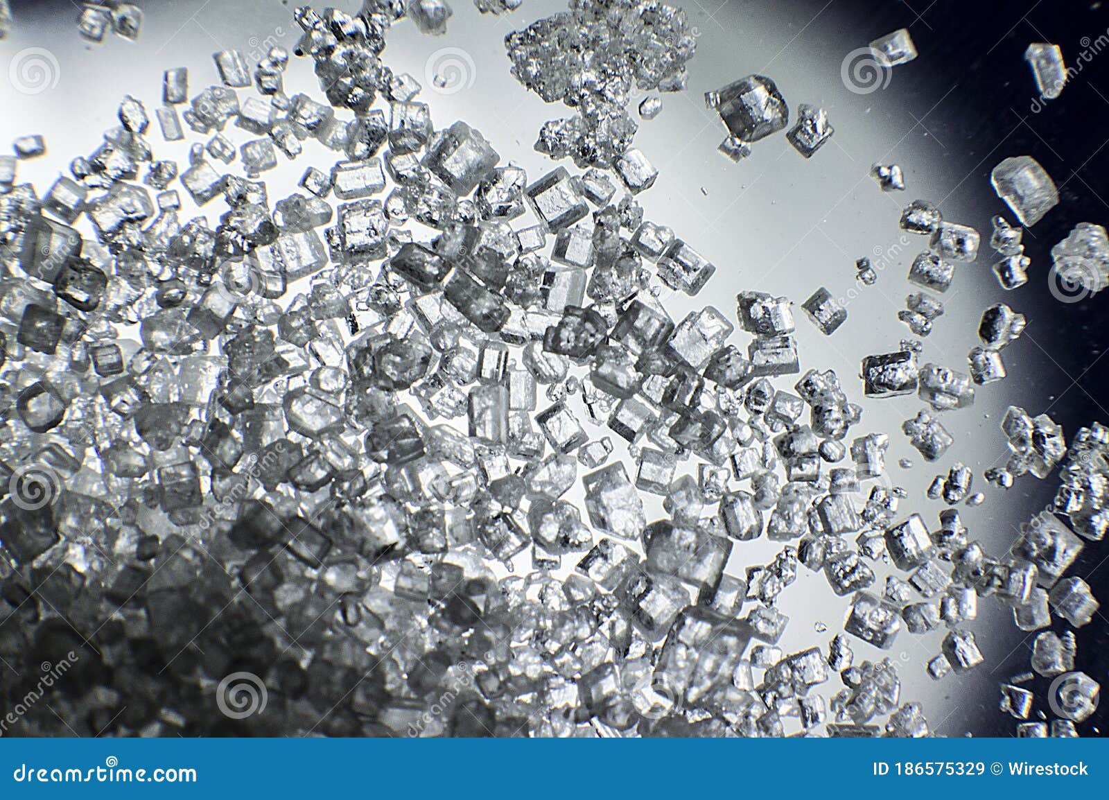 Macro Shot of the Sugar Grains on a White Background Stock Image ...