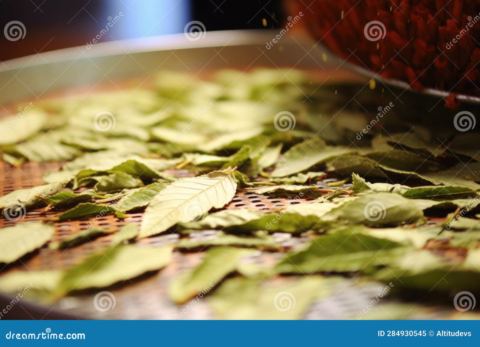 Tea Leaves Undergoing Oxidation Process On Trays Stock Photography ...