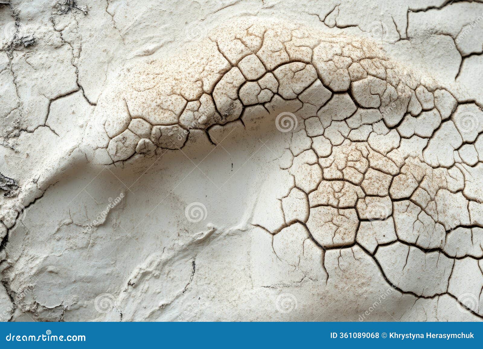 Macro Shot of Textured Plaster Wall, Rough White Surface with Organic ...