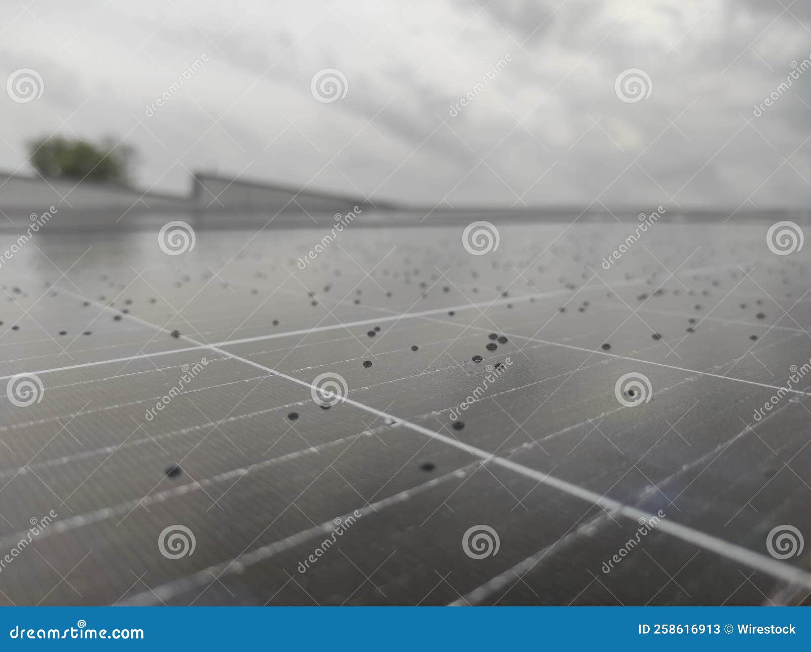 Macro Shot of Tiny Water Droplets on the Surface of Solar Panels in ...