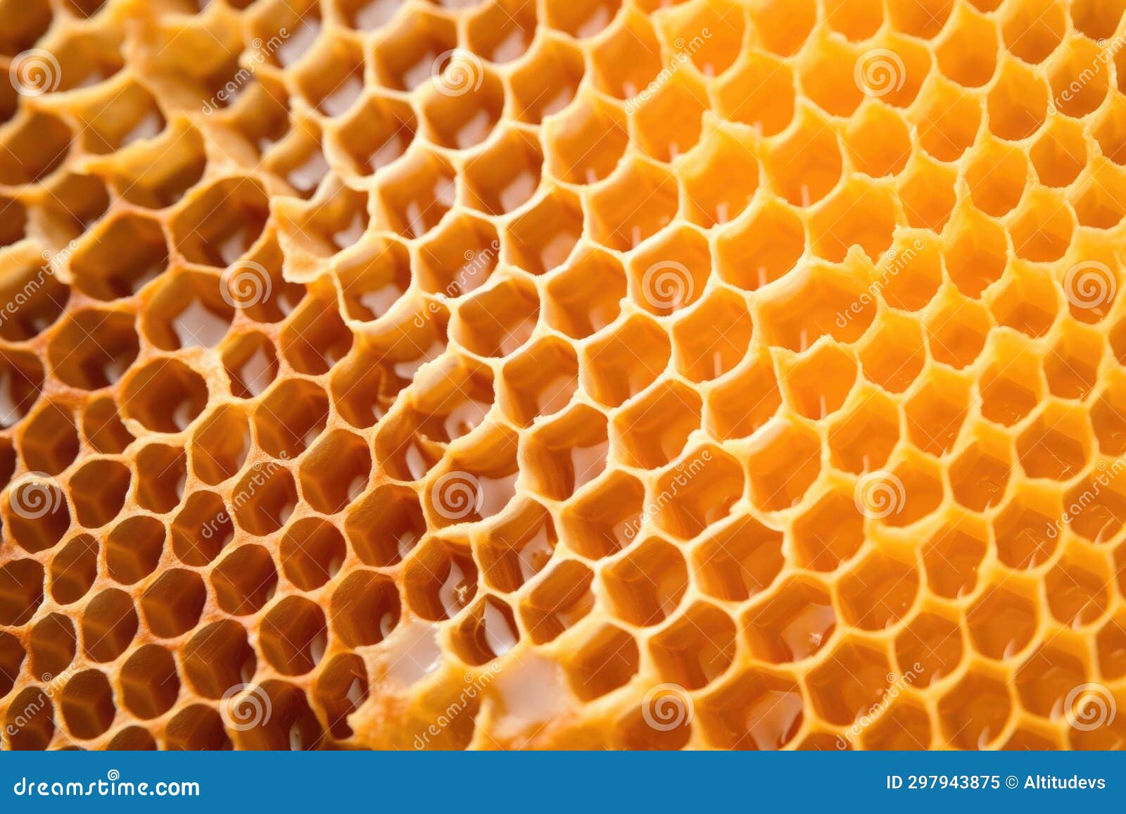 Macro Shot of Unfilled Honeycomb Structure Stock Image - Image of ...