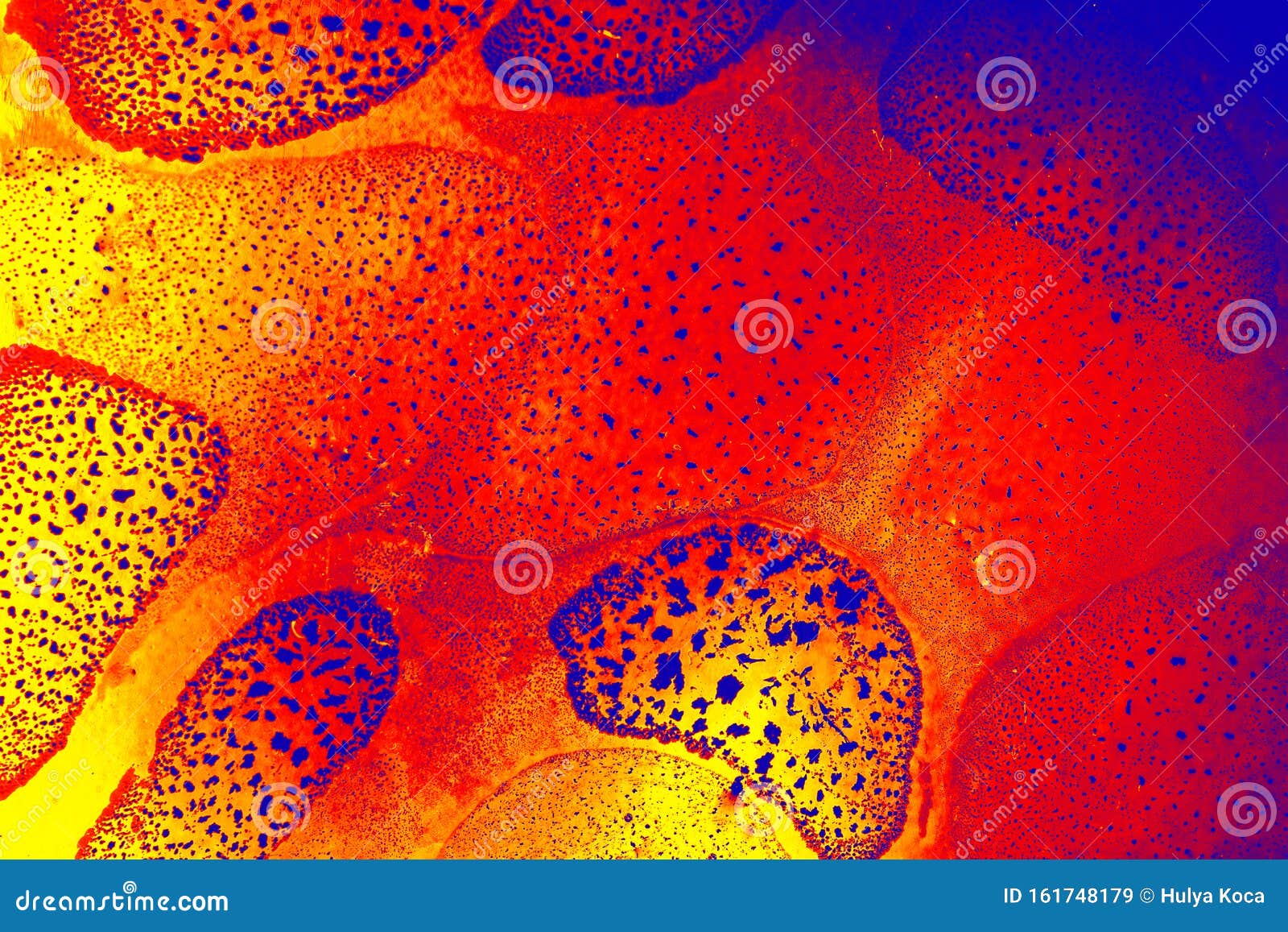 Macro Shot of Water-oil Emulsion Over Colored Background Stock Image ...