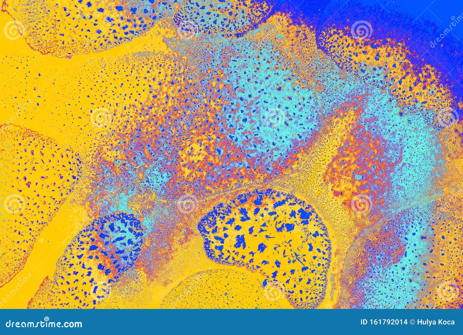 Macro Shot of Water-oil Emulsion Over Colored Background Stock Photo ...