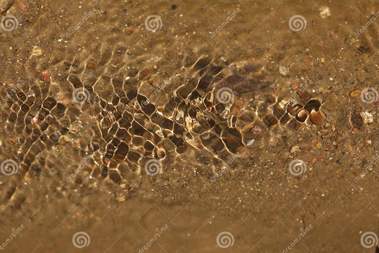 Macro Shot of Water Texture Stock Photo - Image of background, liquid ...