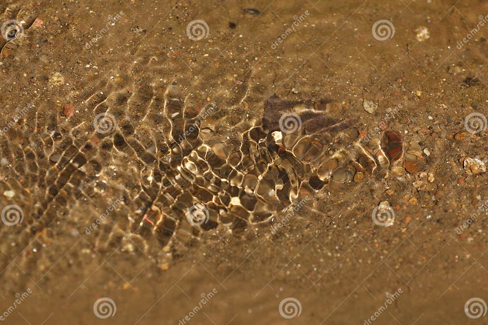 Macro Shot of Water Texture Stock Photo - Image of babel, close: 217944274