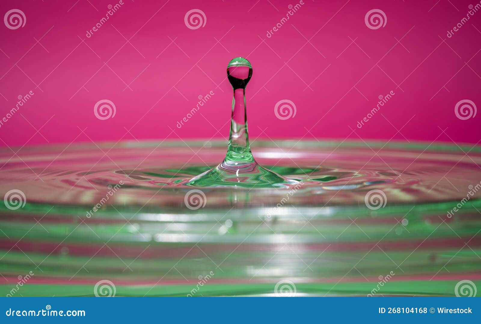 Macro Shot of a Waterdrop Creating a Ripple on a Bright Pink Background ...