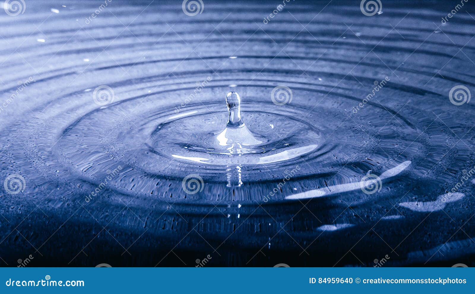 Macro Shots Of Water Drop Let Picture. Image: 84959640