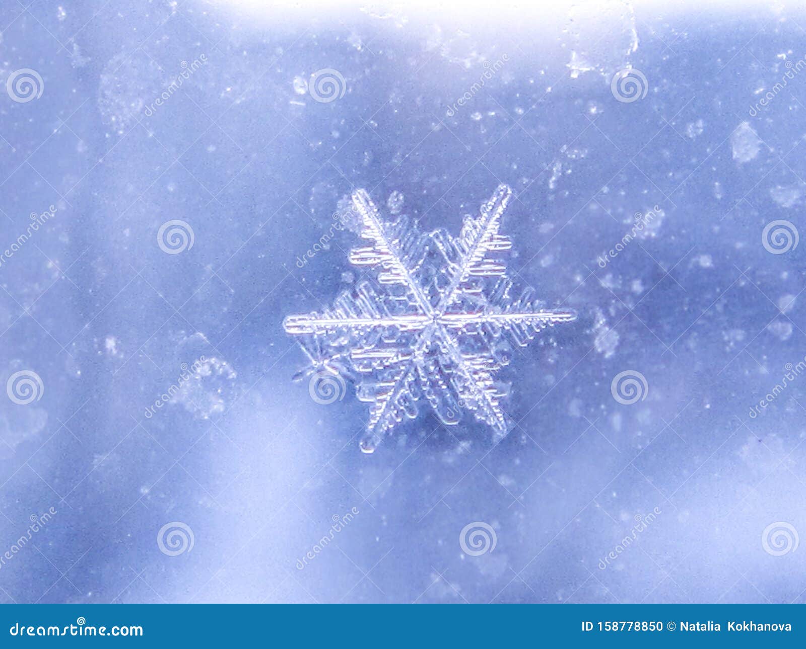 Macro Six-pointed Snowflake Stock Photo - Image of element, celebration ...