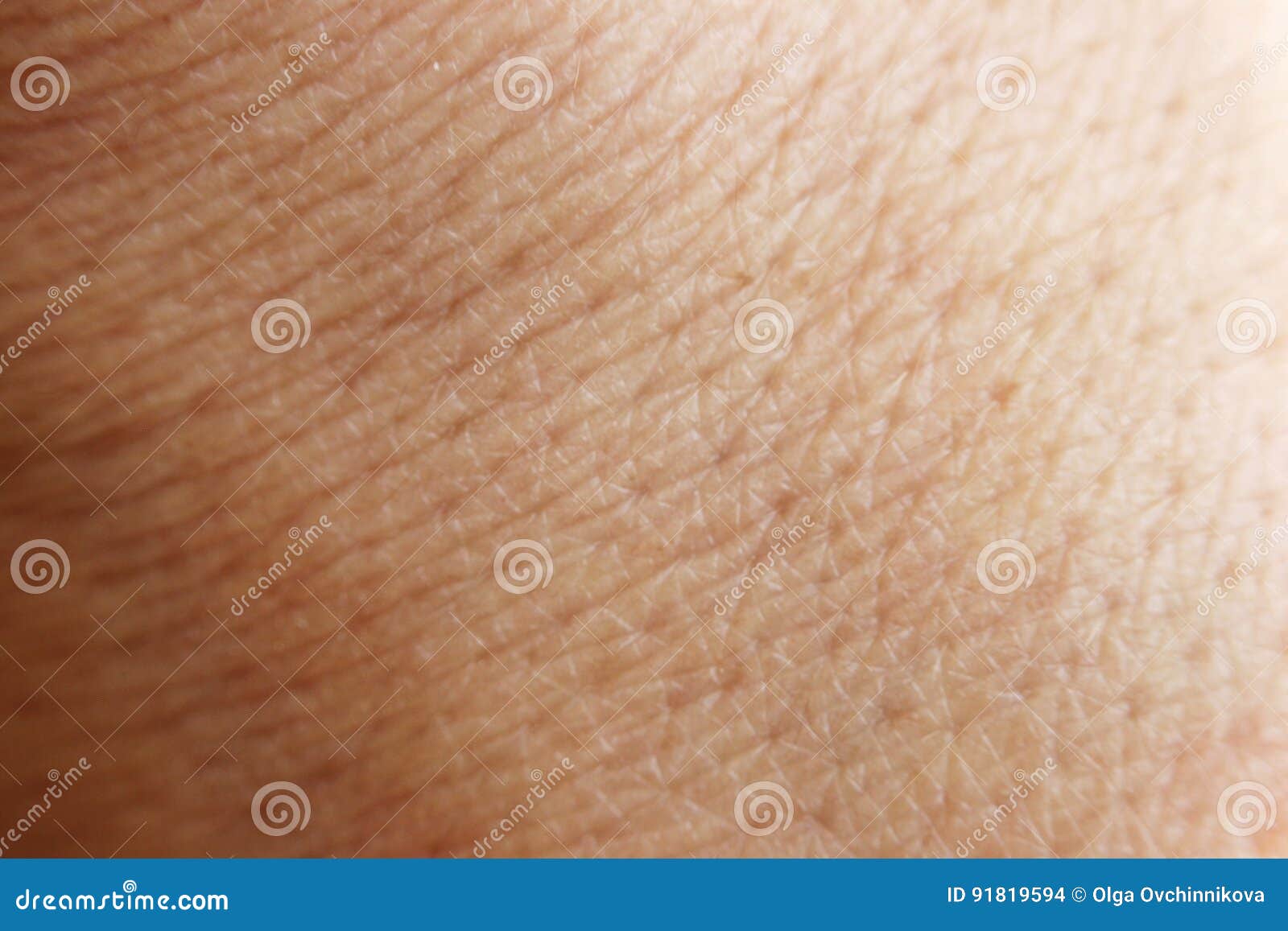 Macro Skin Of Human Hand.Medicine And Dermatology Concept. Details Of ...