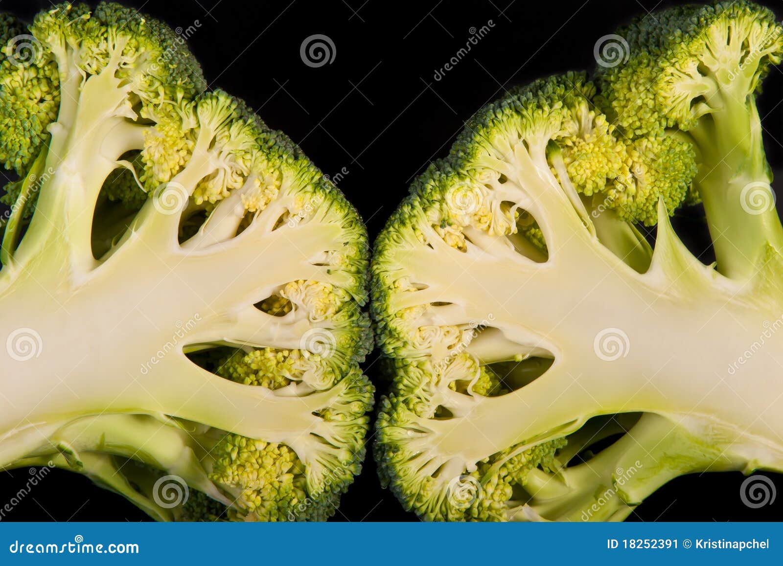 Macro of Sliced Broccoli Head Stock Image - Image of sliced, tree: 18252391