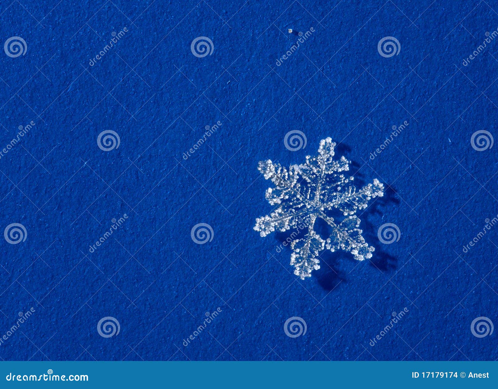 Macro of Snow Flake with Copy Space Stock Photo - Image of close ...