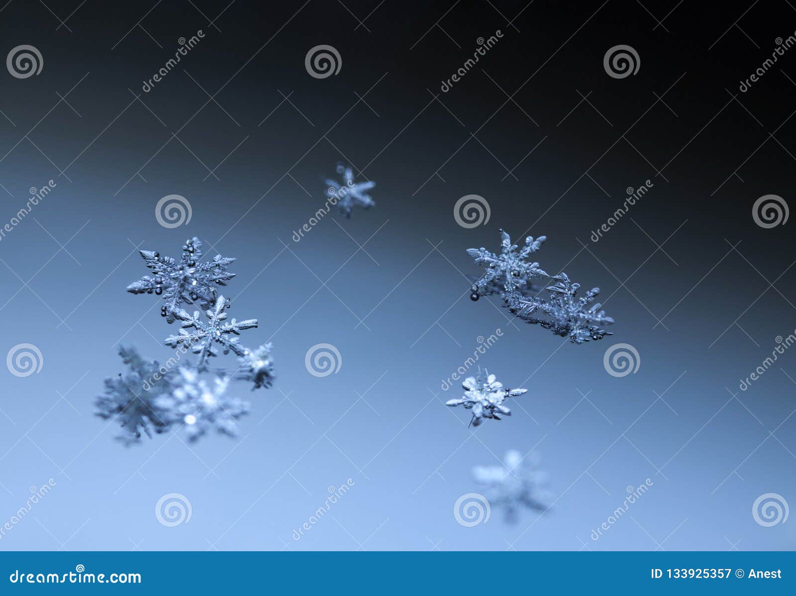 Snow on glass stock image. Image of fine, flake, closeup - 133925357