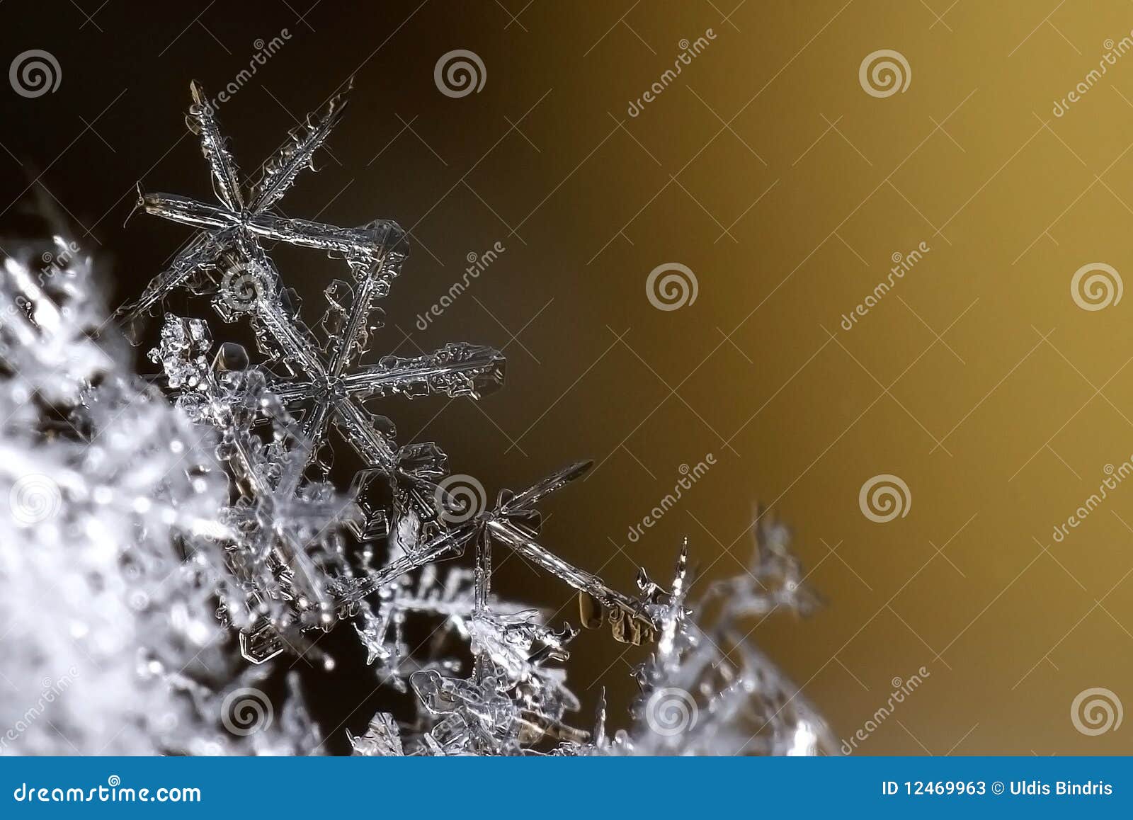 Macro snowflake stock image. Image of border, winter - 12469963