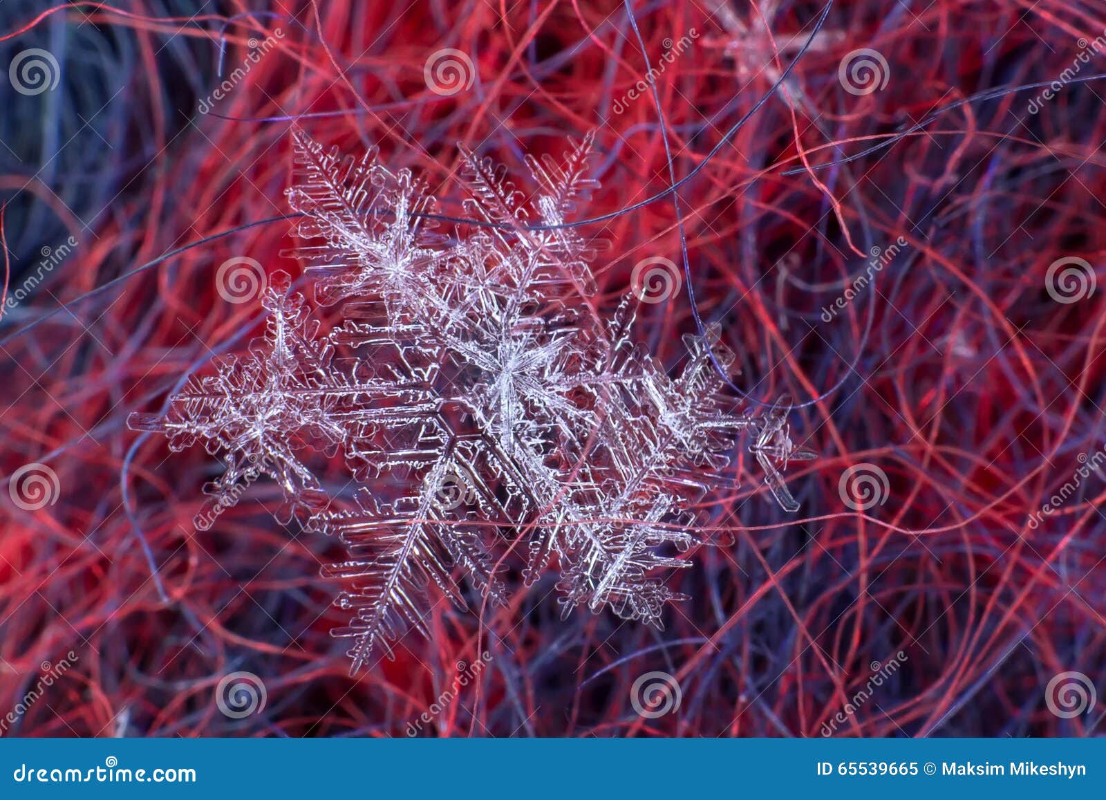 Macro Snowflake Crystals in a Large Increase Stock Image - Image of ...