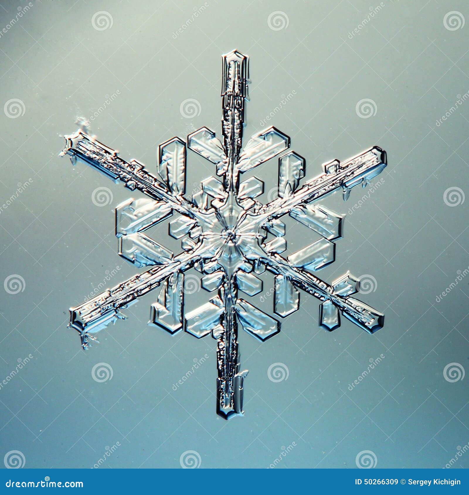 Macro Snowflake Ice Crystals Present Natural Stock Image - Image of ...