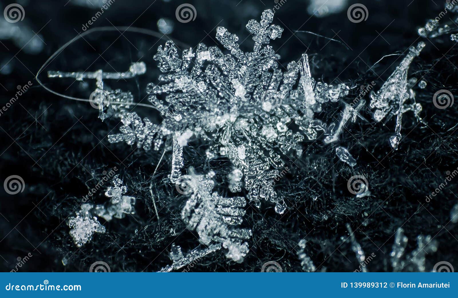 Macro snowflake stock photo. Image of crystal, snowflake - 139989312