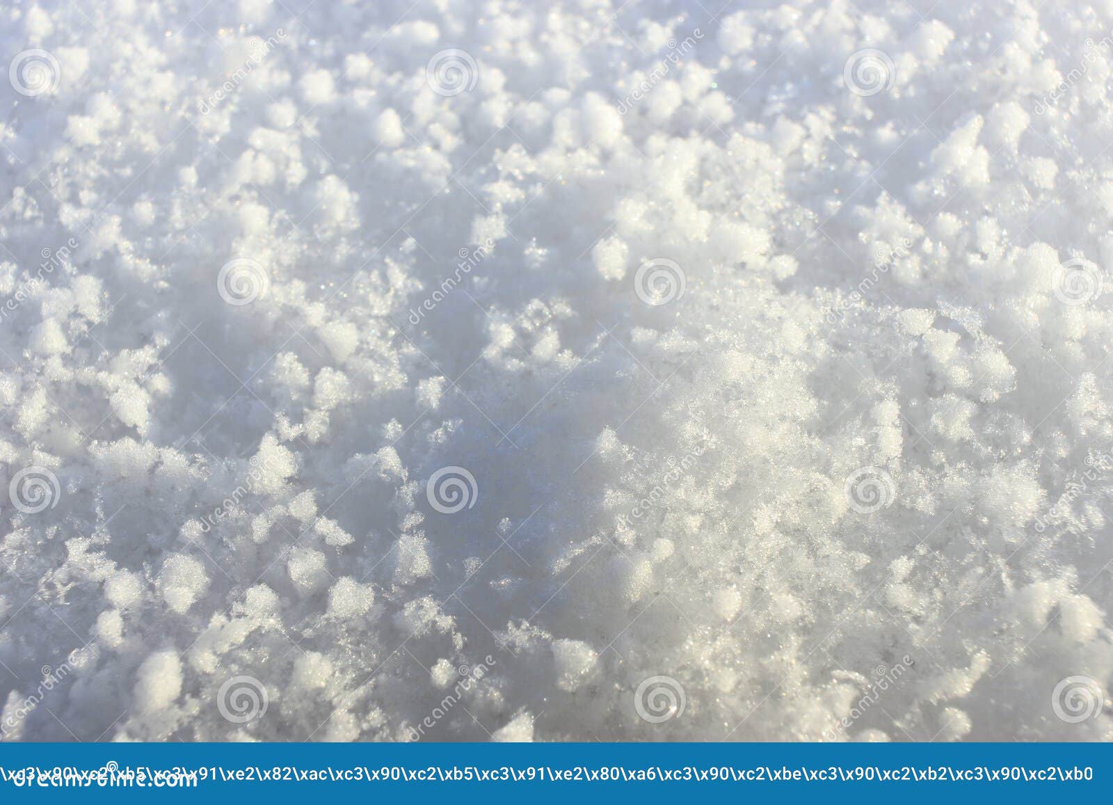 Macro snowflake on the sun stock image. Image of snowflake - 178665237