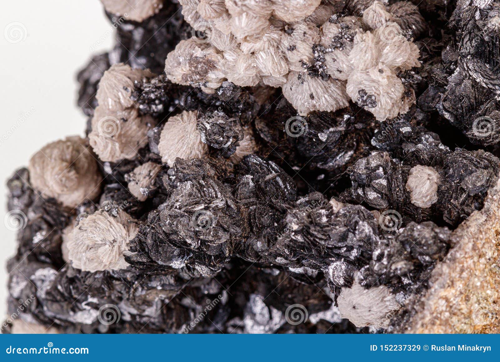 Macro Stone Groutite Mineral on White Background Stock Image - Image of ...