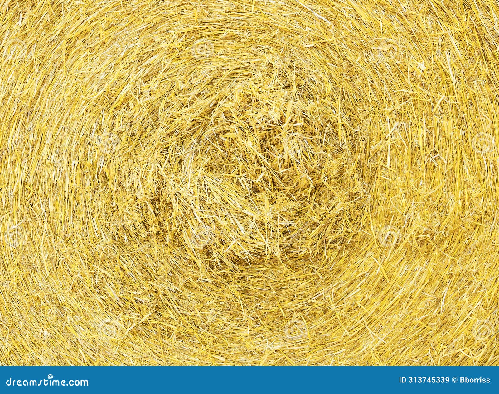 Macro Straw Texture, Collected in a Roll of Hay in Summer Sunlight ...