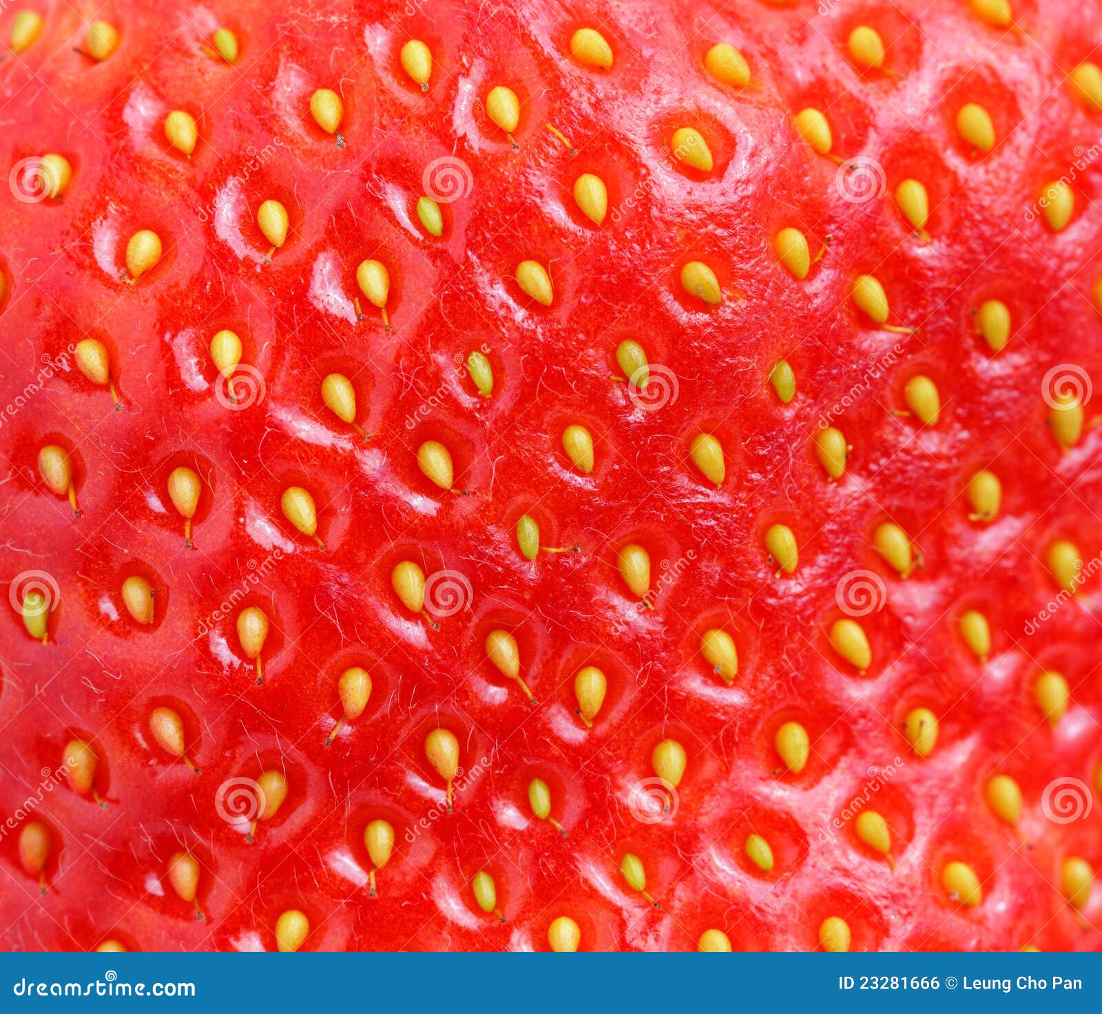 Macro of Strawberry Texture Stock Photo - Image of abstract, background ...