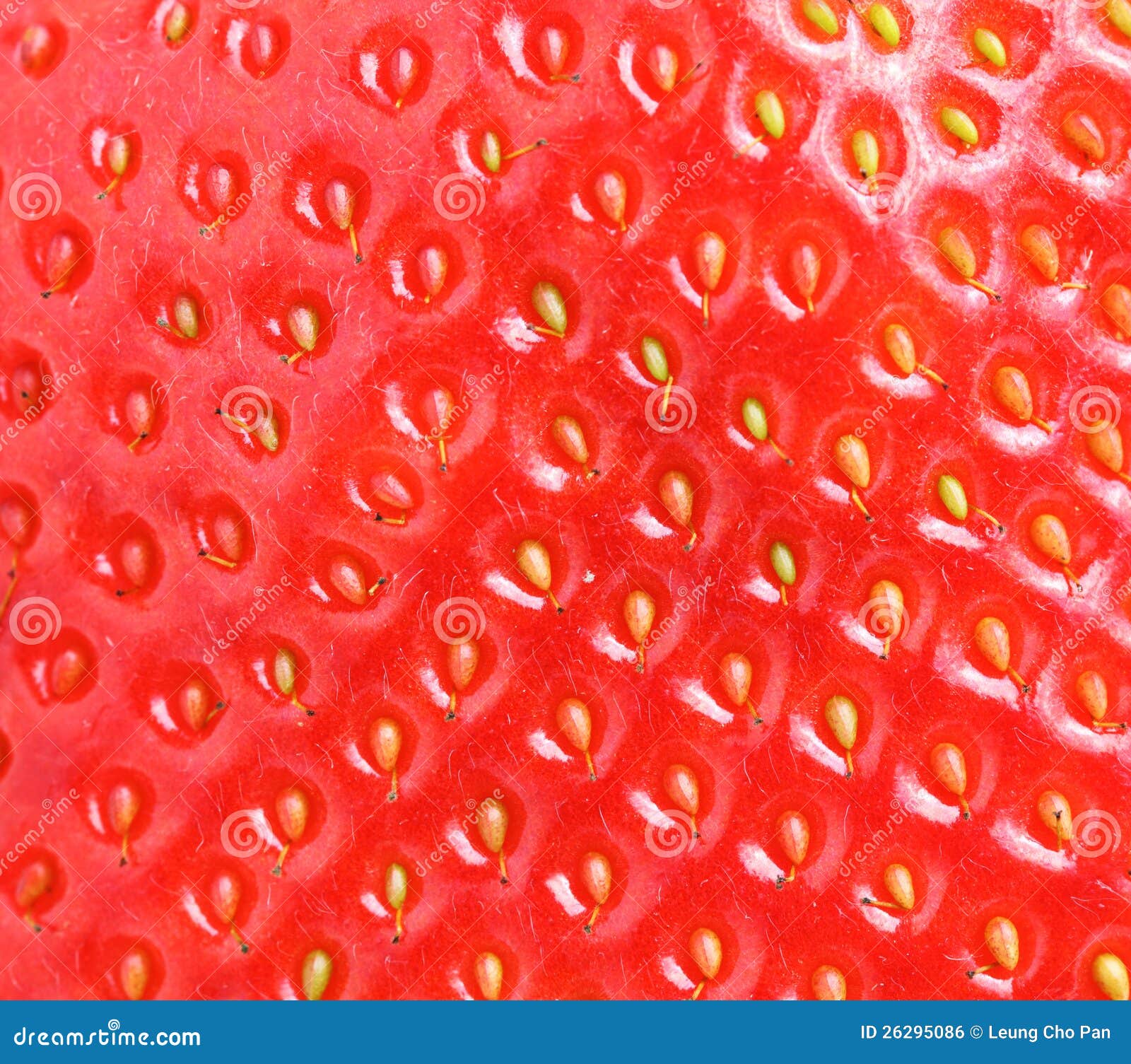 Macro of Strawberry Texture Stock Photo - Image of mature, food: 26295086