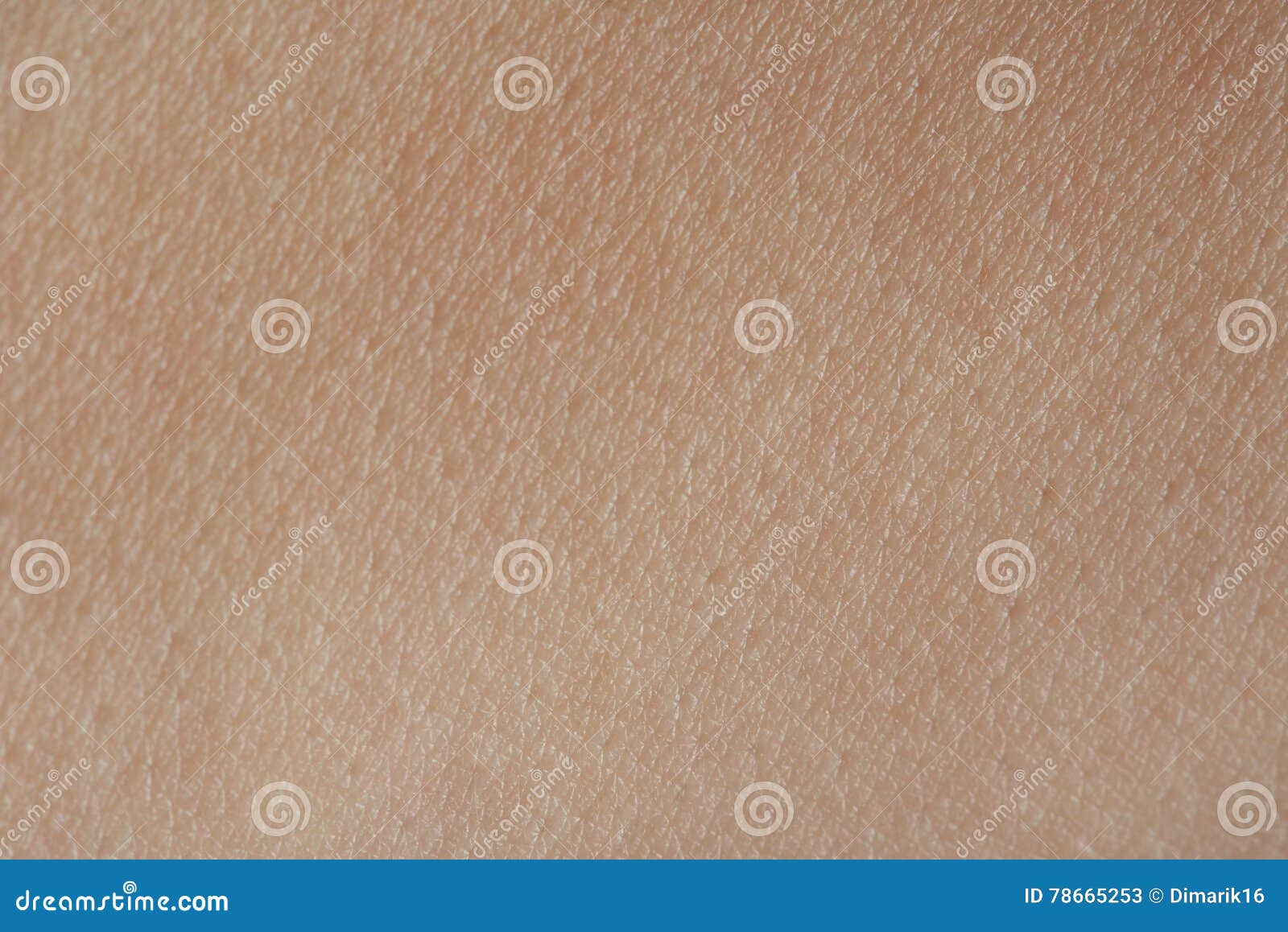 Texture Of Human Skin. Close Up Of Well-kept Caucasian Human Body Stock ...