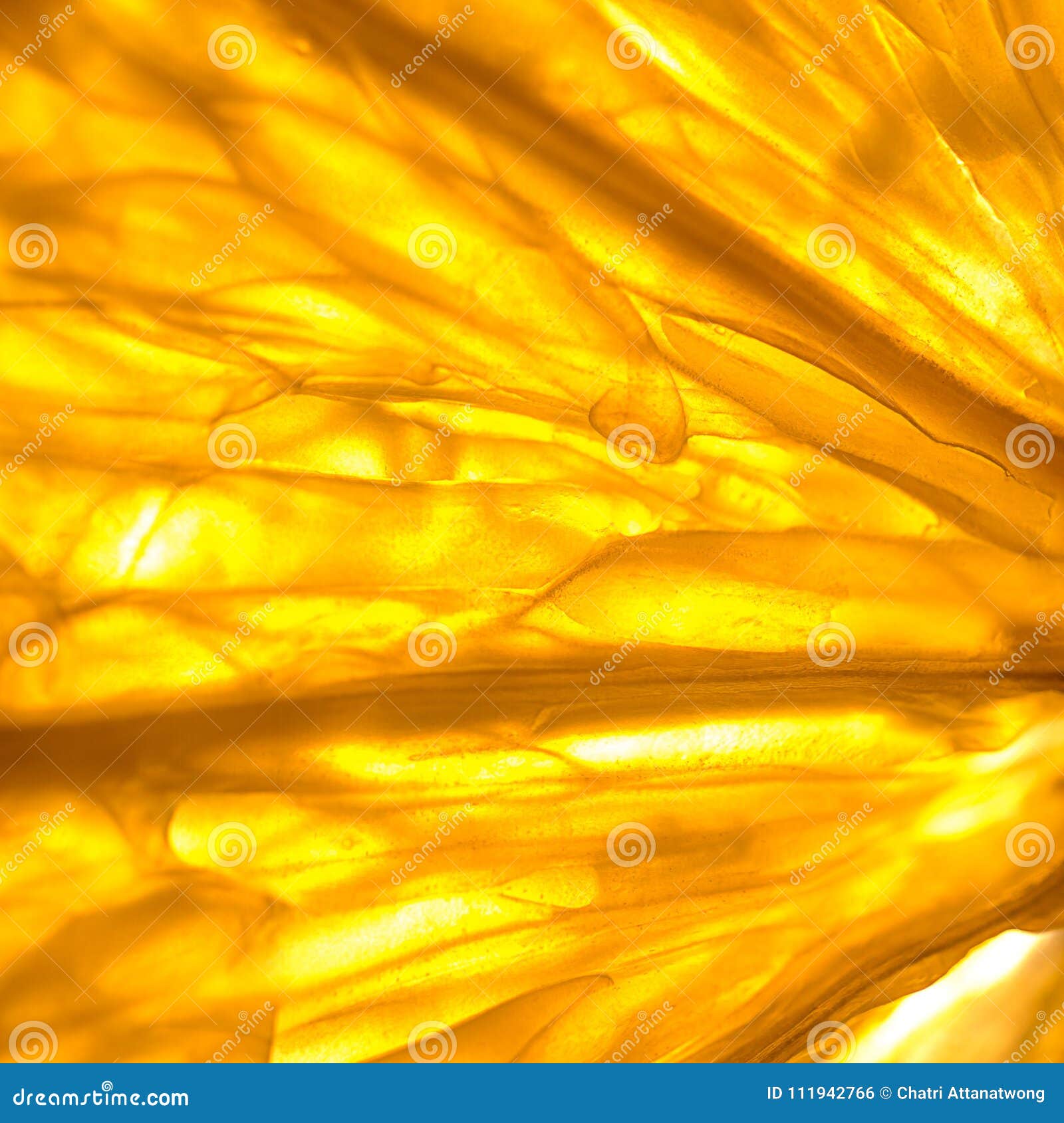 Macro Texture of Lemon Glowing Bright Yellow Abstract Background Stock ...