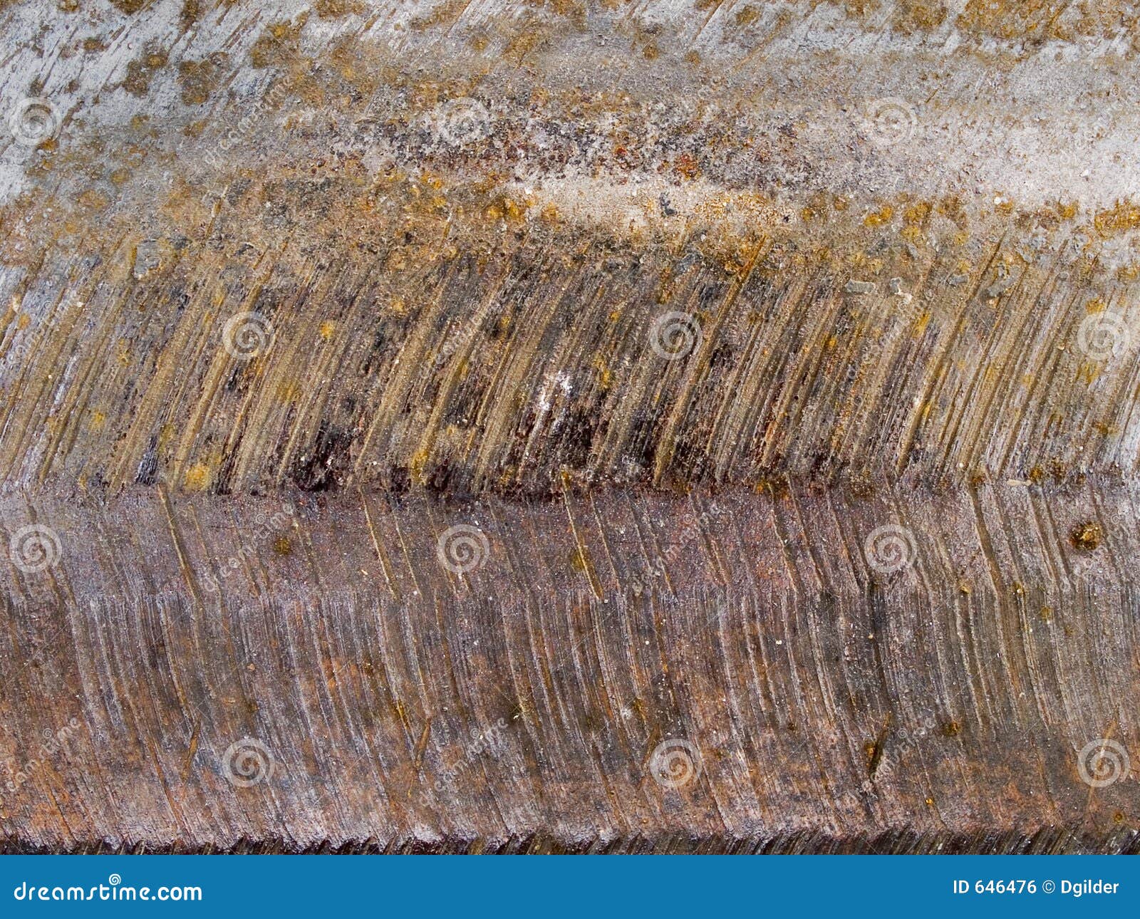 Macro Texture - Metal - Rusted Stock Photo - Image of gritty, details ...