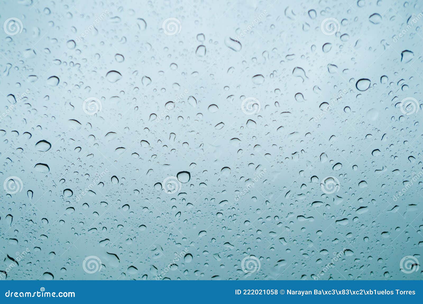 Macro Texture of Nature Water Drops, Water Background Stock Photo ...